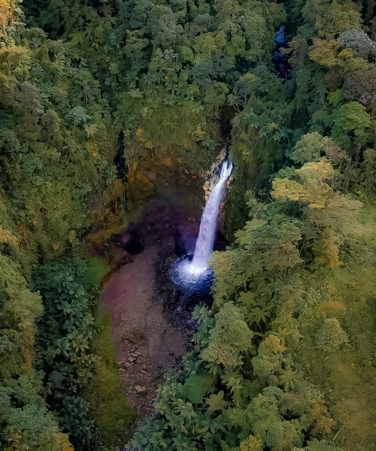 Dino land / Río Agrio - Ticos.CR